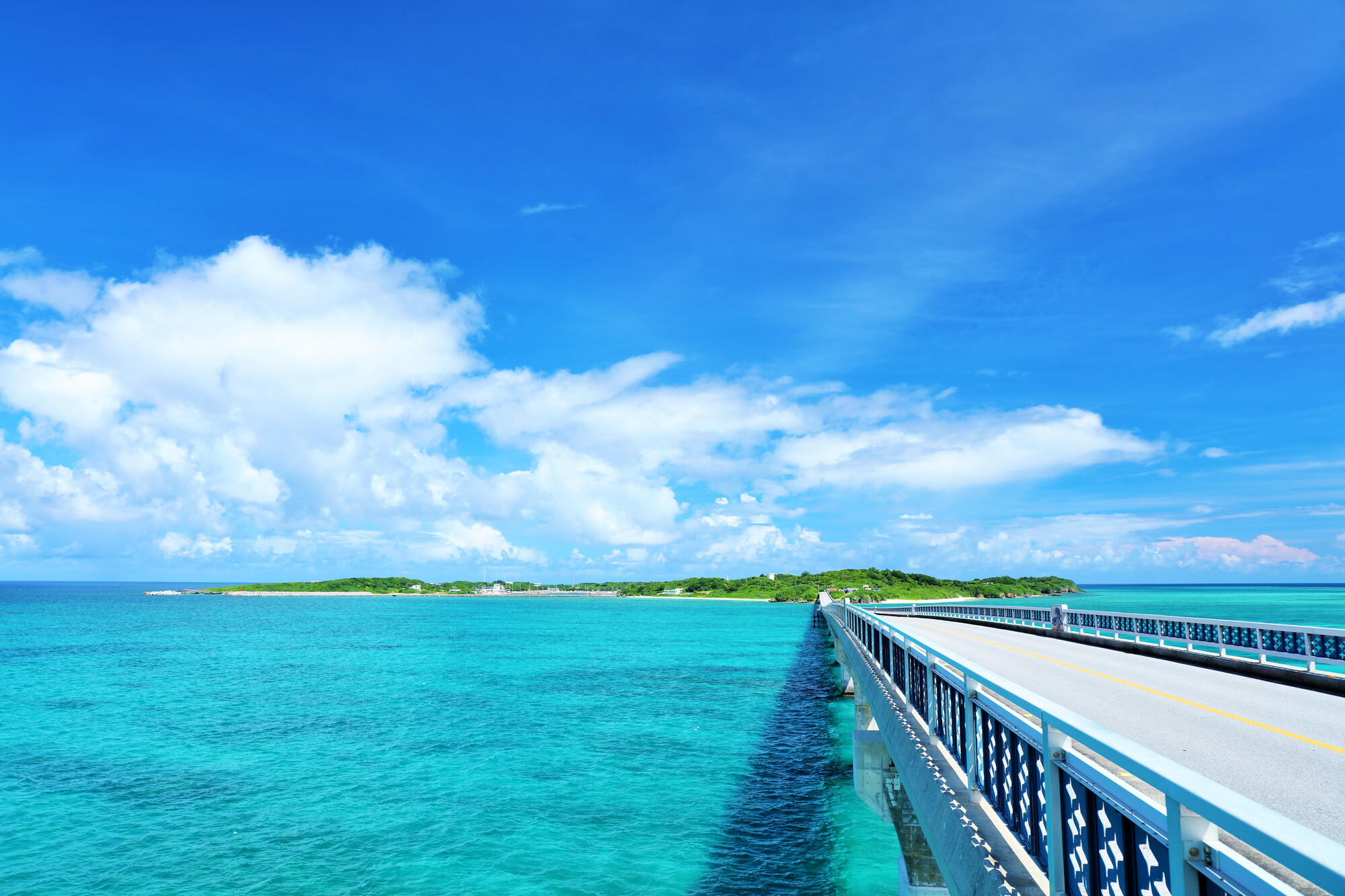 Seasonal Insights for Traveling in Japan: Everything You Need to Know